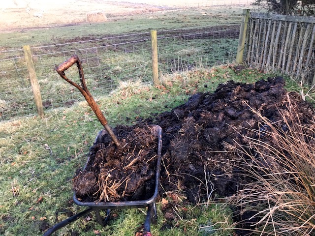 Down to Earth – STEPHEN TOMLIN