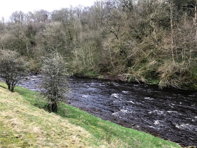 Hidden River – STEPHEN TOMLIN